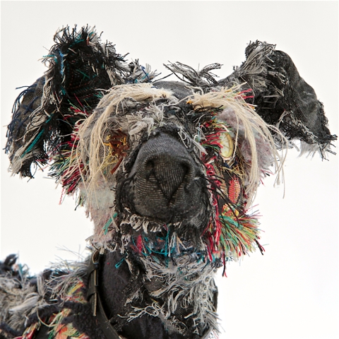 Textile Animal Sculpture with Barbara Franc - Phoenix Studio