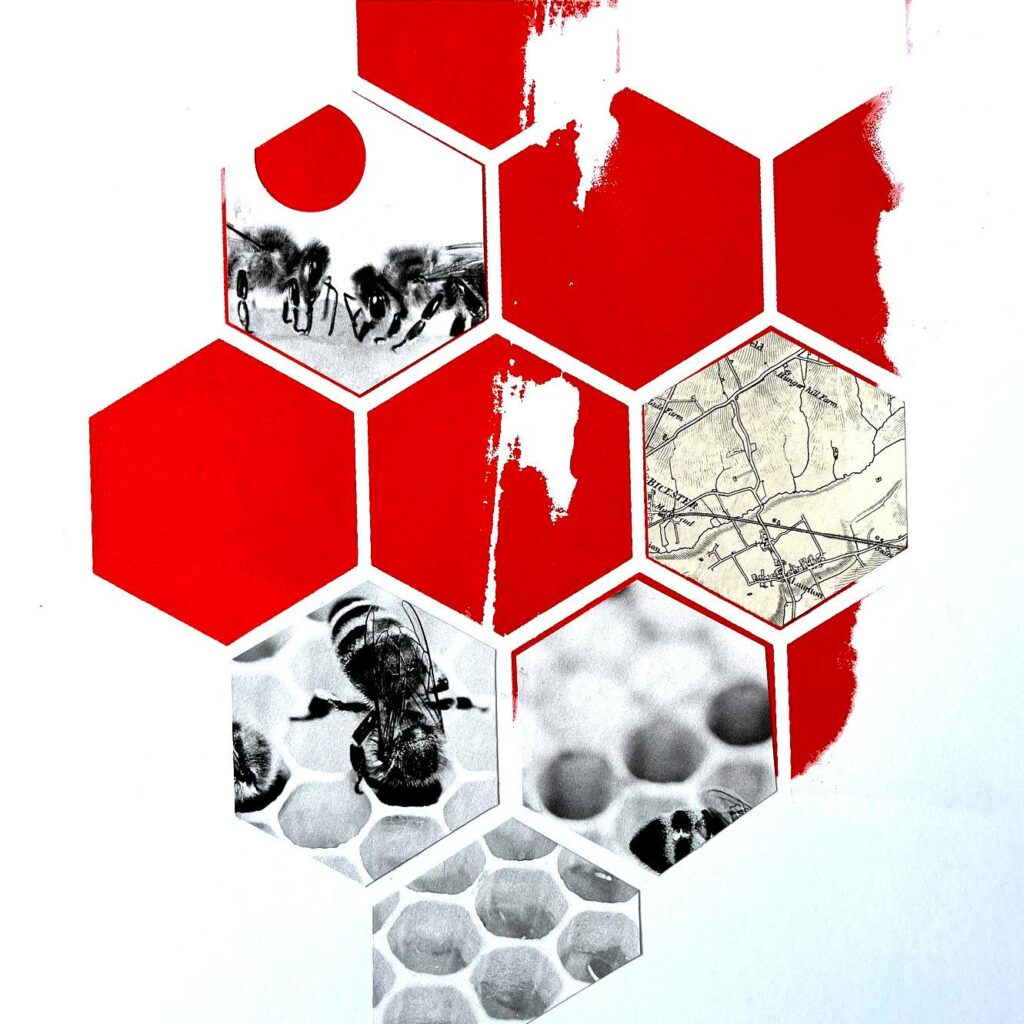 COURSES | - Phoenix Studio